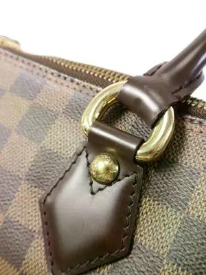 LOUIS VUITTON Saleya Mm Tote Bag