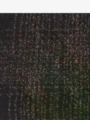 Faliero Sarti Check-pattern Scarf