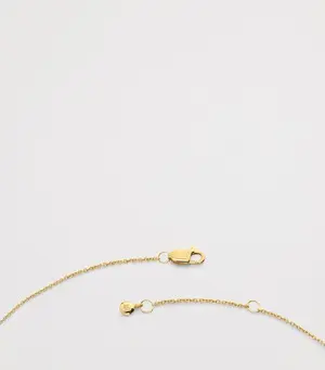 Monica Vinader Vermeil Zodiac Capricorn Pendant Necklace