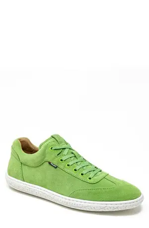 PILOTI PILOTI Suede Lace-Up Sneakers Lizard