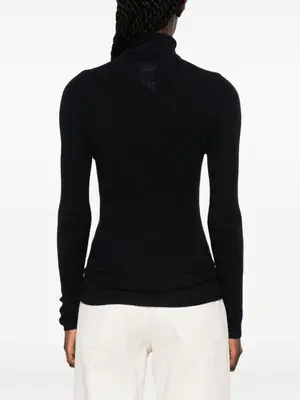 Fabiana Filippi Wool Turtle-neck Sweater