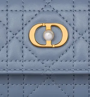 Dior Jolie Glycine Wallet