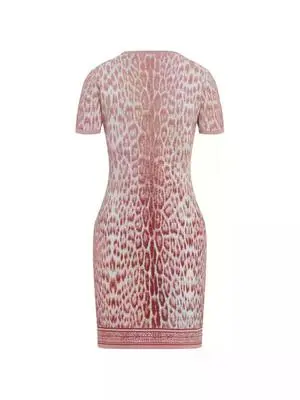 Roberto Cavalli Leopard Print Knit Dress