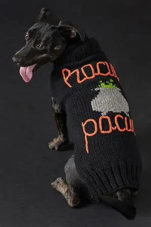 Anthropologie Halloween Phrase Pet Sweater - Hocus Pocus