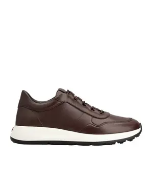 TOD'S Contrast Sole Low-top Sneakers - Brown