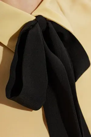 Valentino Garavani Silk Shirt With A Scarf