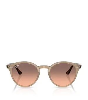 Ray-ban Propionate Round Frame Sunglasses