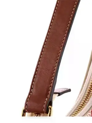 Celine Ava Bag Triomphe Coated Canvas Hobo Bag