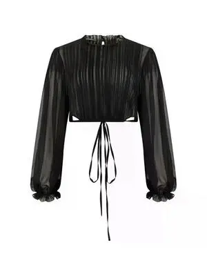 Alberta Ferretti Sheer-panelled Cropped Top - Black
