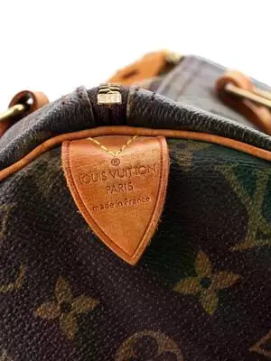 LOUIS VUITTON Speedy Handbag Monogram Canvas 30 Satchel