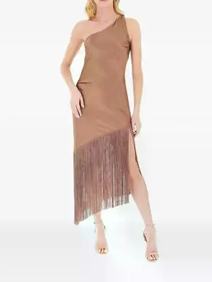 Pinko One-shoulder Fringe Trim Dress - Brown