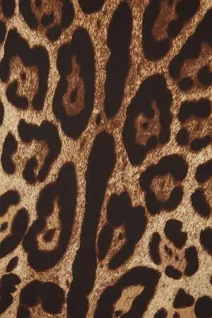 Dolce & Gabbana Leopard Print Dress - Multicolor