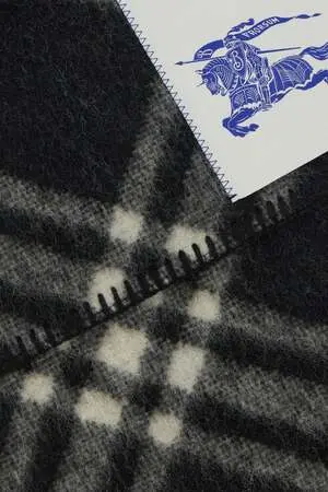 Burberry Accessories Scarves & Shawls