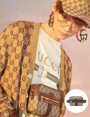 Gucci Ophidia Gg Supreme Small Belt Bag Bag