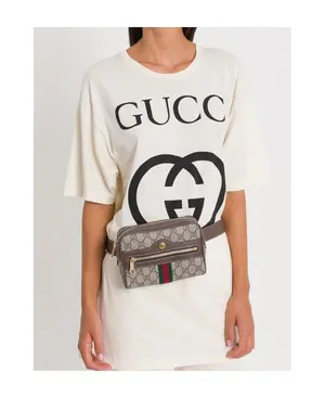 Gucci Ophidia Gg Supreme Small Belt Bag