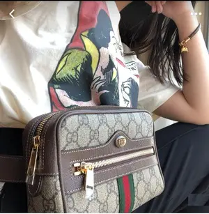 Gucci Ophidia Gg Supreme Small Belt Bag