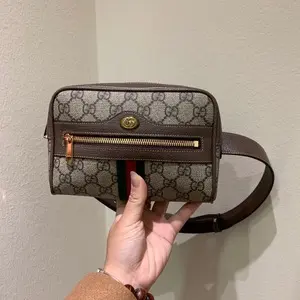 Gucci Ophidia Gg Supreme Small Belt Bag
