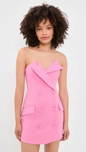 Bardot Arvess Strapless Mini Dress