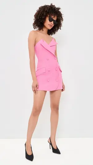 Bardot Arvess Strapless Mini Dress
