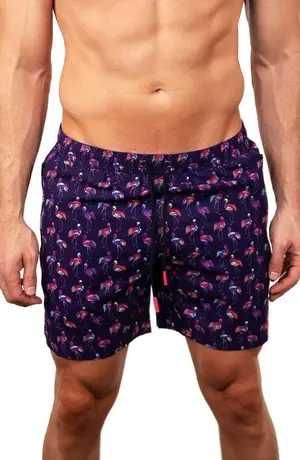 MACEOO Lion Flamingo Swim Trunks - Purple
