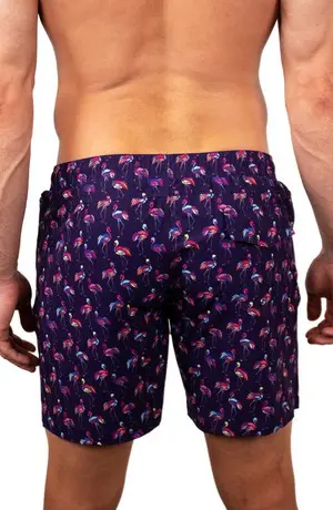 MACEOO Lion Flamingo Swim Trunks