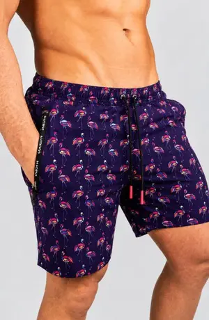 MACEOO Lion Flamingo Swim Trunks