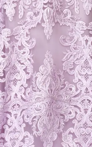 Naeem Khan Ribbon Lace Long Sleeve Gown