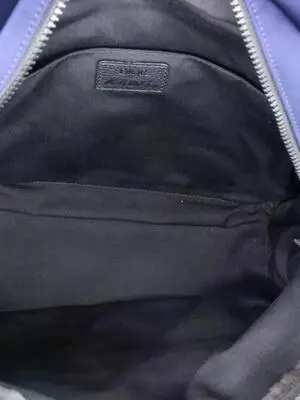 Dior Kaws Bee Rider Nylon Backpack