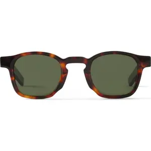 FRENCH KIWIS EYEWEAR Enzo Sunglasses - Tortoise