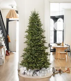 BALSAM HILL Norway Spruce Led Clear Christmas Tree