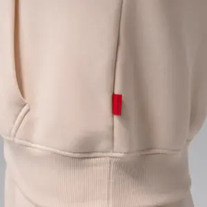 JORDAN Brooklyn Pullover Hoodie