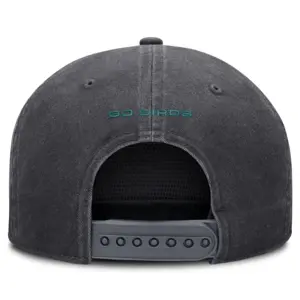 Nike Philadelphia Eagles Primetime Pro Nfl Adjustable Hat