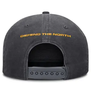 Nike Minnesota Vikings Primetime Pro Nfl Adjustable Hat
