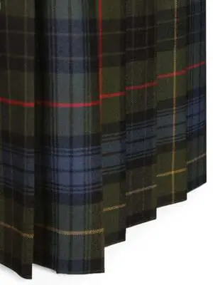 Etro Pleated Skirt