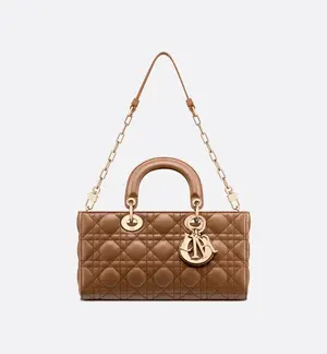 Dior Medium Lady D-joy Bag