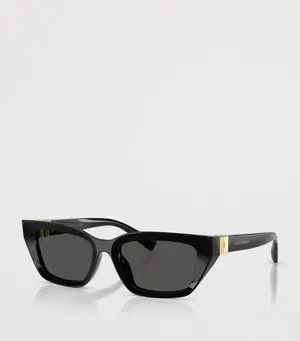 Dolce & Gabbana Acetate Cat Eye Sunglasses