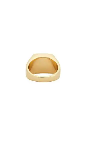 LUV AJ The Seychelles Signet Ring In Metallic