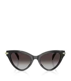 Michael Kors Roanoke Cat Eye Sunglasses - Black