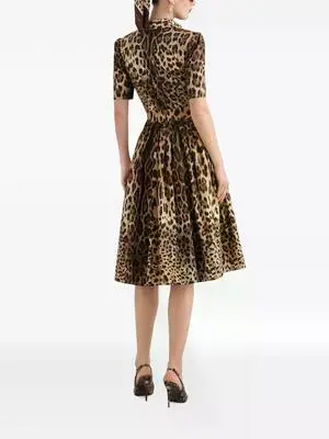 Dolce & Gabbana Leo-print Poplin Shirt Dress