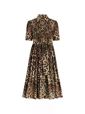 Dolce & Gabbana Leo-print Poplin Shirt Dress