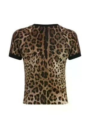 Dolce & Gabbana Leo-print Jersey T-shirt