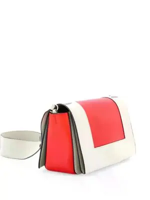 Celine Frame Leather Medium Shoulder Bag