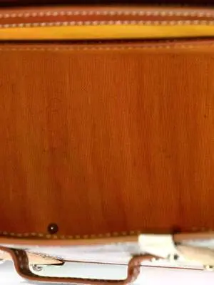 Goyard Structured Saigon Top Handle Bag