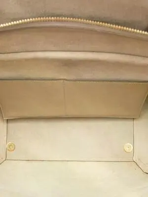 Celine 2020 Mini Grained Calfskin Belt Bag Satchel