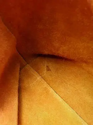 Hermès 2023 Clemence Cabasellier 31 Tote Bag