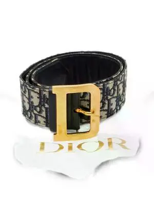 Dior Diorquake Oblique Belt - Neutrals