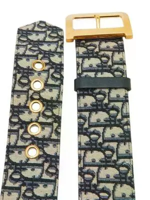 Dior Diorquake Oblique Belt