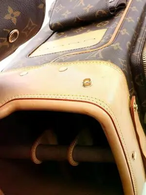 LOUIS VUITTON Monogram Canvas Golf Bag