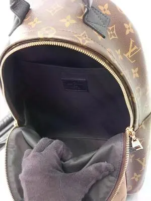 LOUIS VUITTON 2020 Monogram Palm Springs Backpack