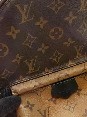 LOUIS VUITTON 2020 Monogram Palm Springs Backpack